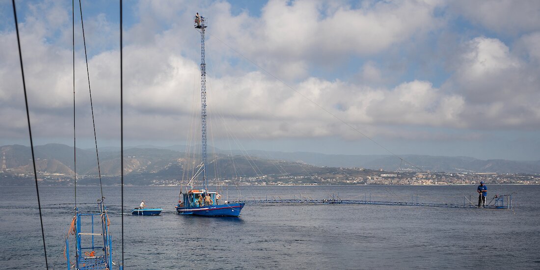 Wie met een harpoen de koning onder de vissen weet te vangen, verwerft ...