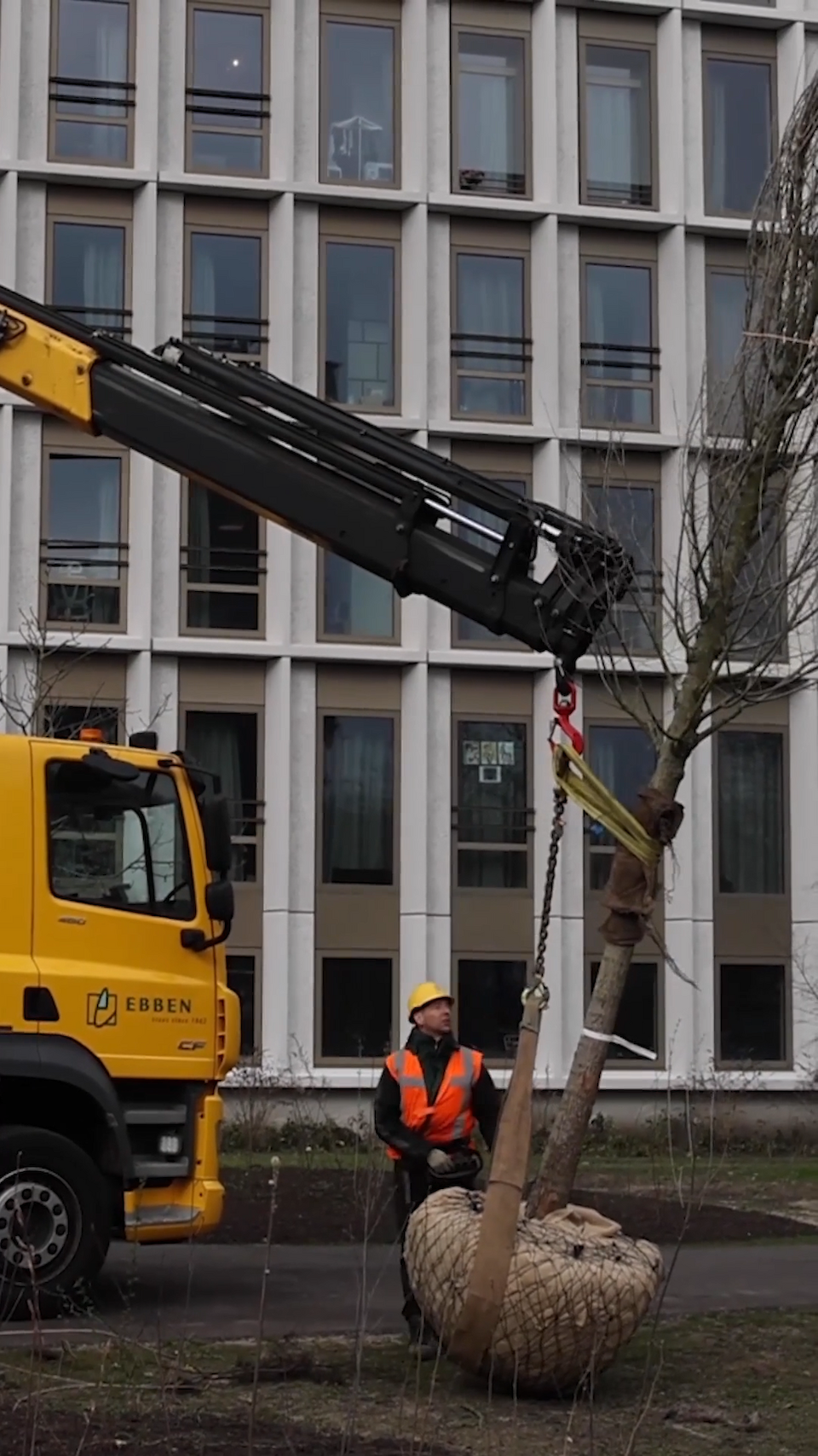 Steden vergroenen massaal tegen de hittestress: wij volgden een ...